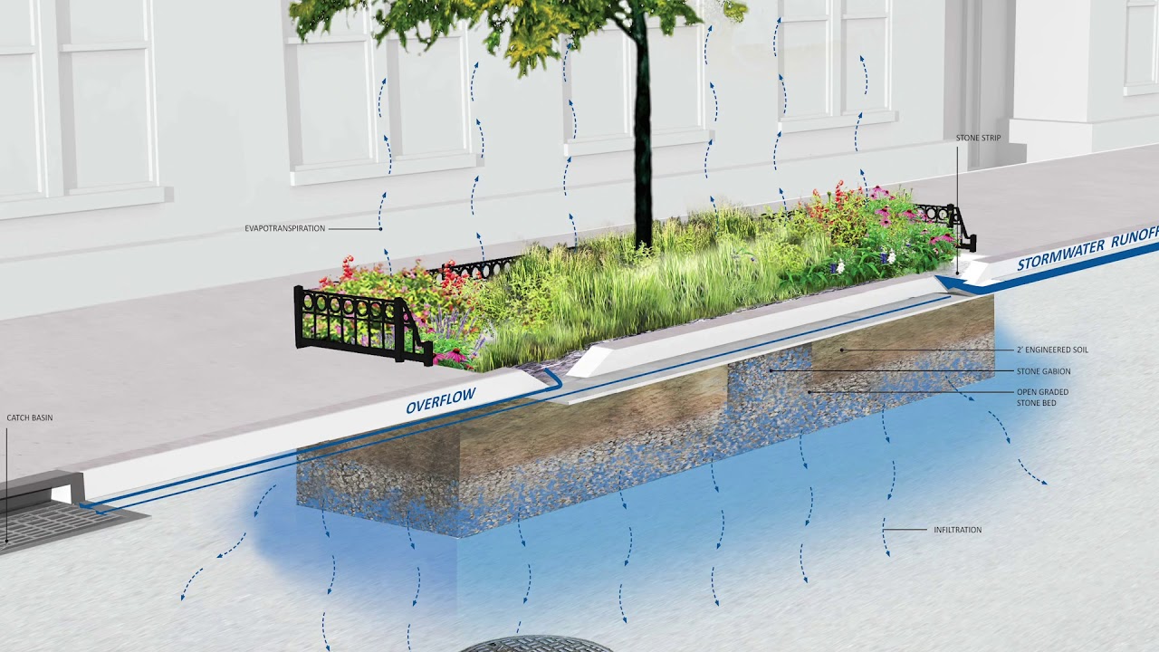 Curbside Rain Gardens - YouTube