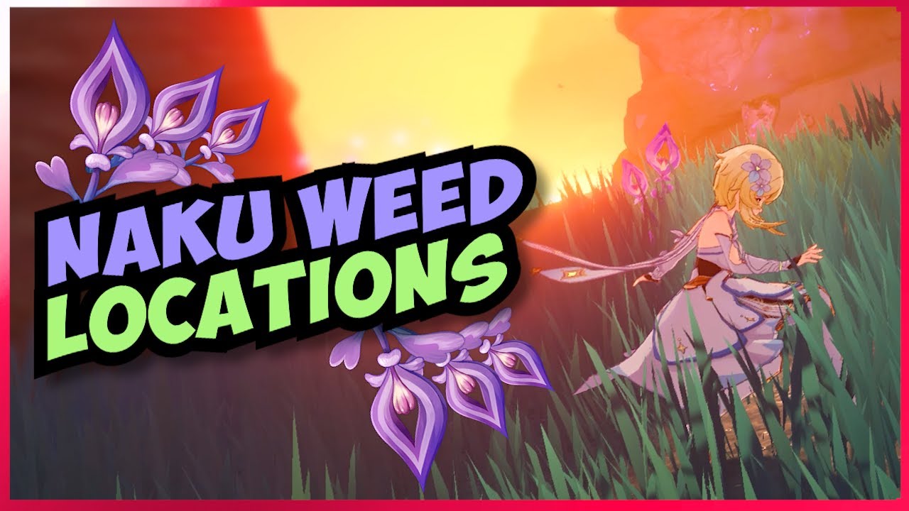 Naku weed locations | All farming route | Fast and Efficient | Genshin ...