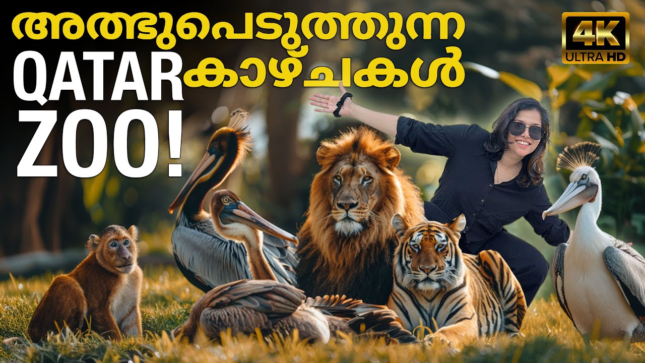 Qatar's WILDEST Day! EPIC Al Khor Zoo Adventure! - YouTube