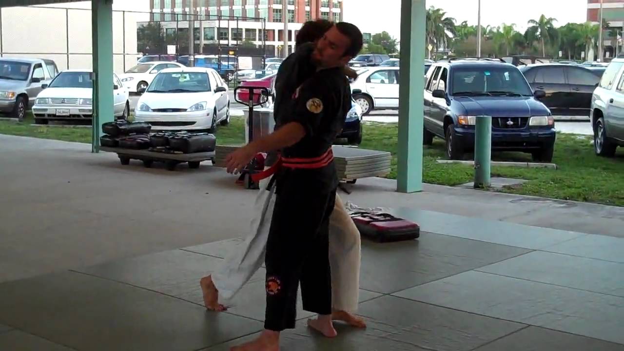 Punch self defense leg sweep, wrist lock American Kempo Techniques ...