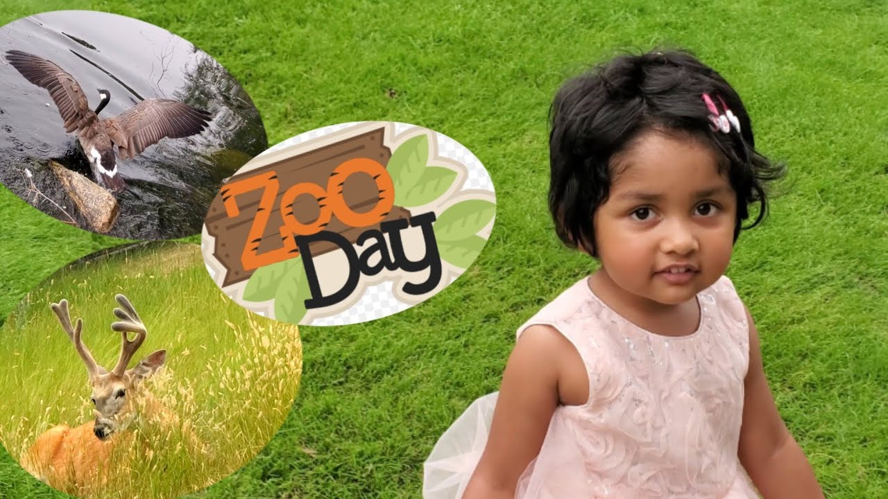 A day at Saskatoon Forestry Farm Park and Zoo Centre. - YouTube