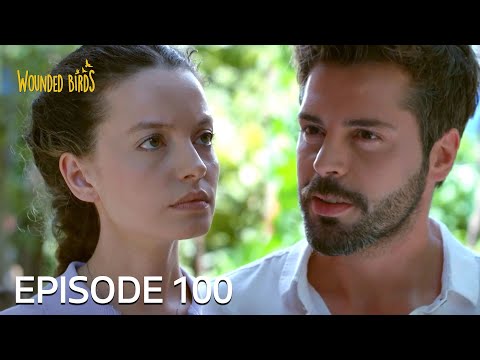 Yaralı Kuşlar | 100. Bölüm