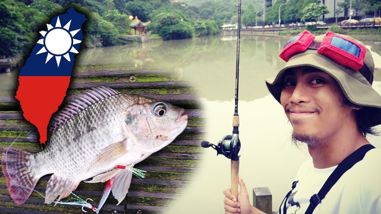 Went to Taiwan JUST TO GO FISHING! (Nangang Park, Taipei) - YouTube