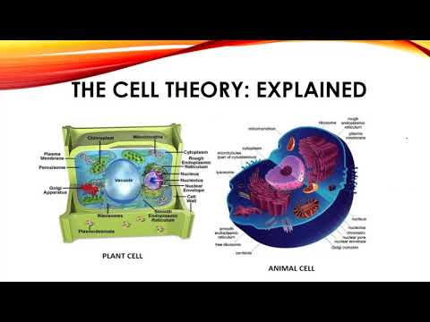 CELL THEORY | सेल थ्योरी | cell theory MJ Schleiden and Schwann | cell ...