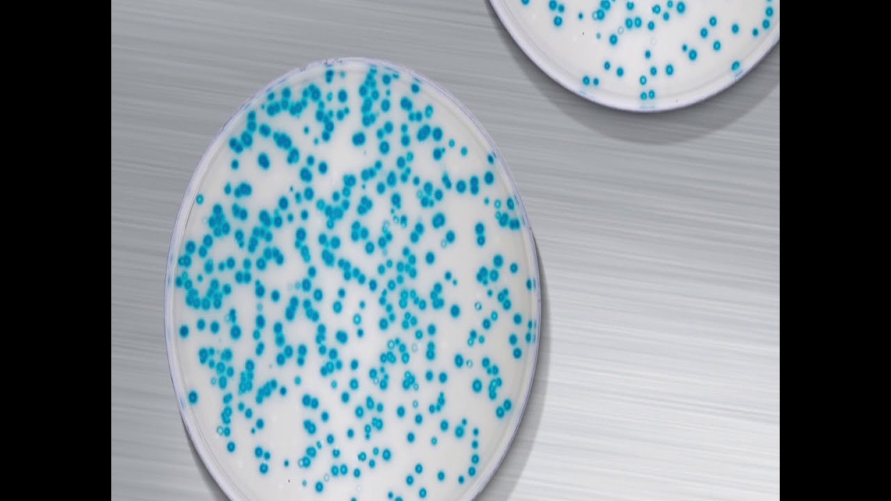 Vanta Bioscience Chennai - YouTube