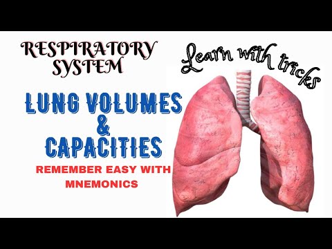 Lung Volumes and Capacities | Respiratory System | Pharma Easy Learn Tutorials - YouTube