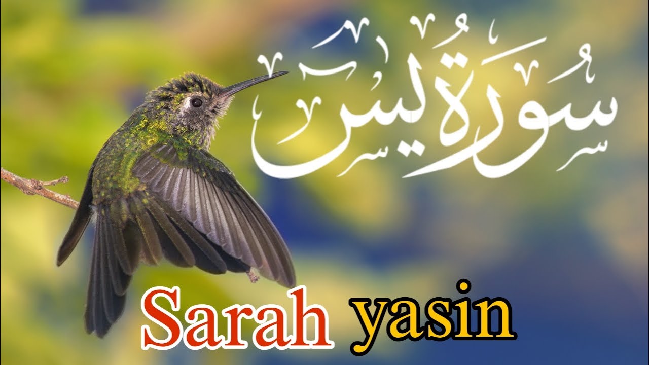 Surah Yasin (Yaseen) سورة يس beautiful voice yaseen. Quran tilawat ...
