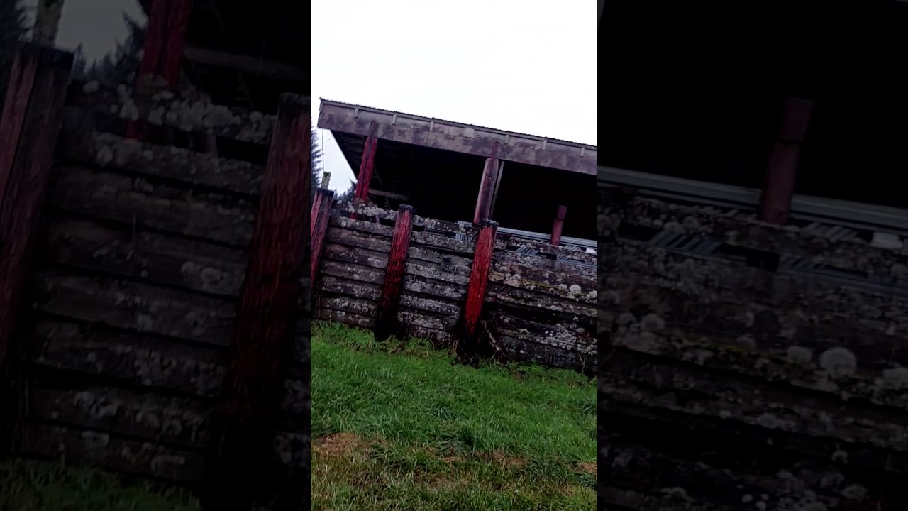 460 mild build with mother lumper cam. - YouTube