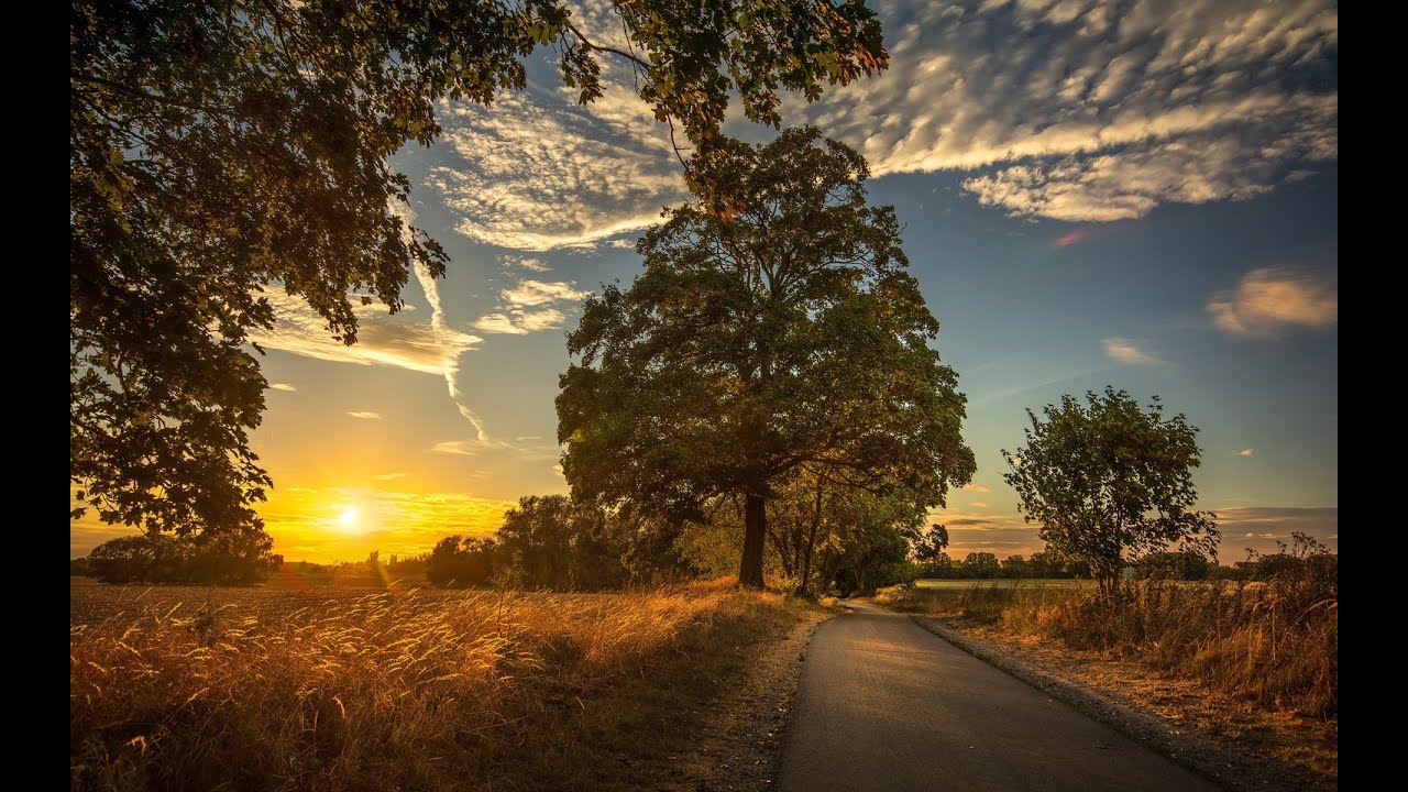 Jovan Perez - Feel Again - Vietsub - YouTube