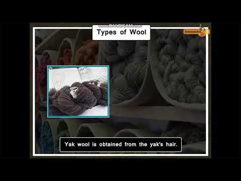 CLASS VII SCIENCE WOOL - YouTube