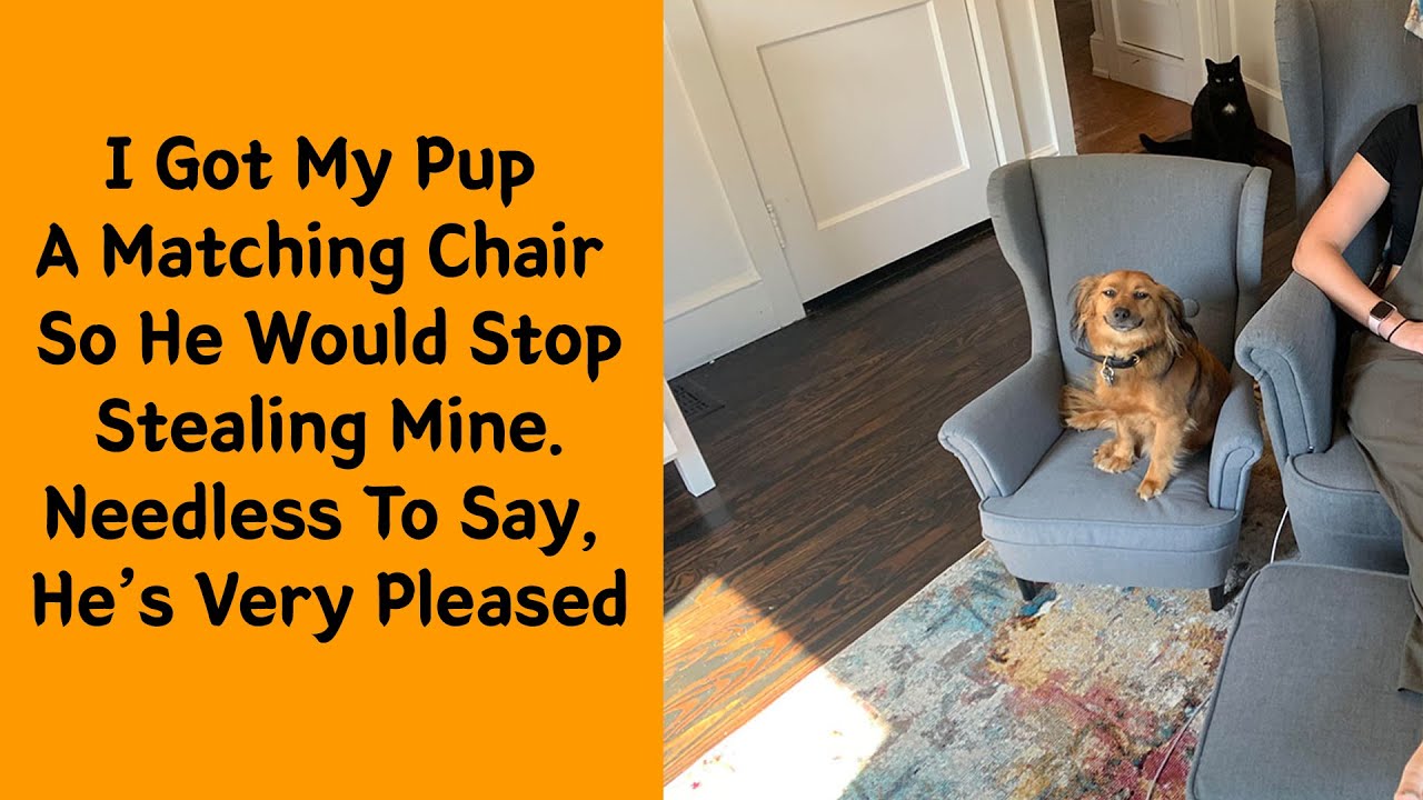 50 Uplifting Animal Pictures To Help You Get Through The Week - Animal ...