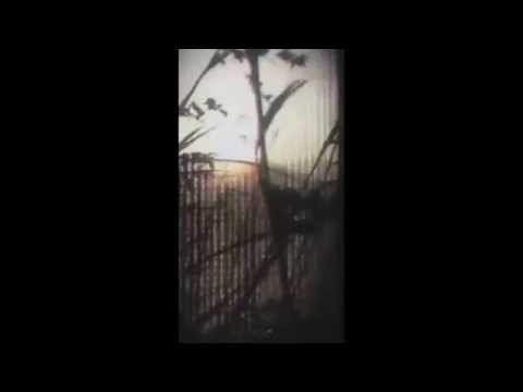 COD 2015 Teaser Snap #2: Soldier Reveal, Blackhawk Chopper, Vietnam?!