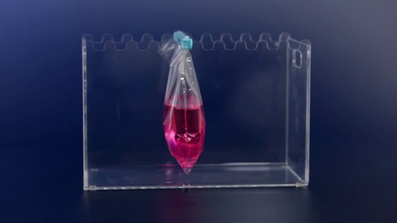 ACCESSORIES - for homogenization bags - YouTube