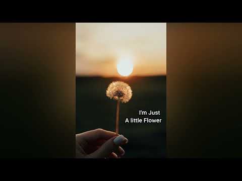 I'm Just A Little Flower - hymns - YouTube