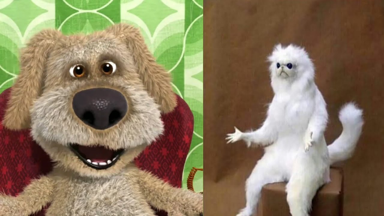 Talking Ben grades memes cats - YouTube