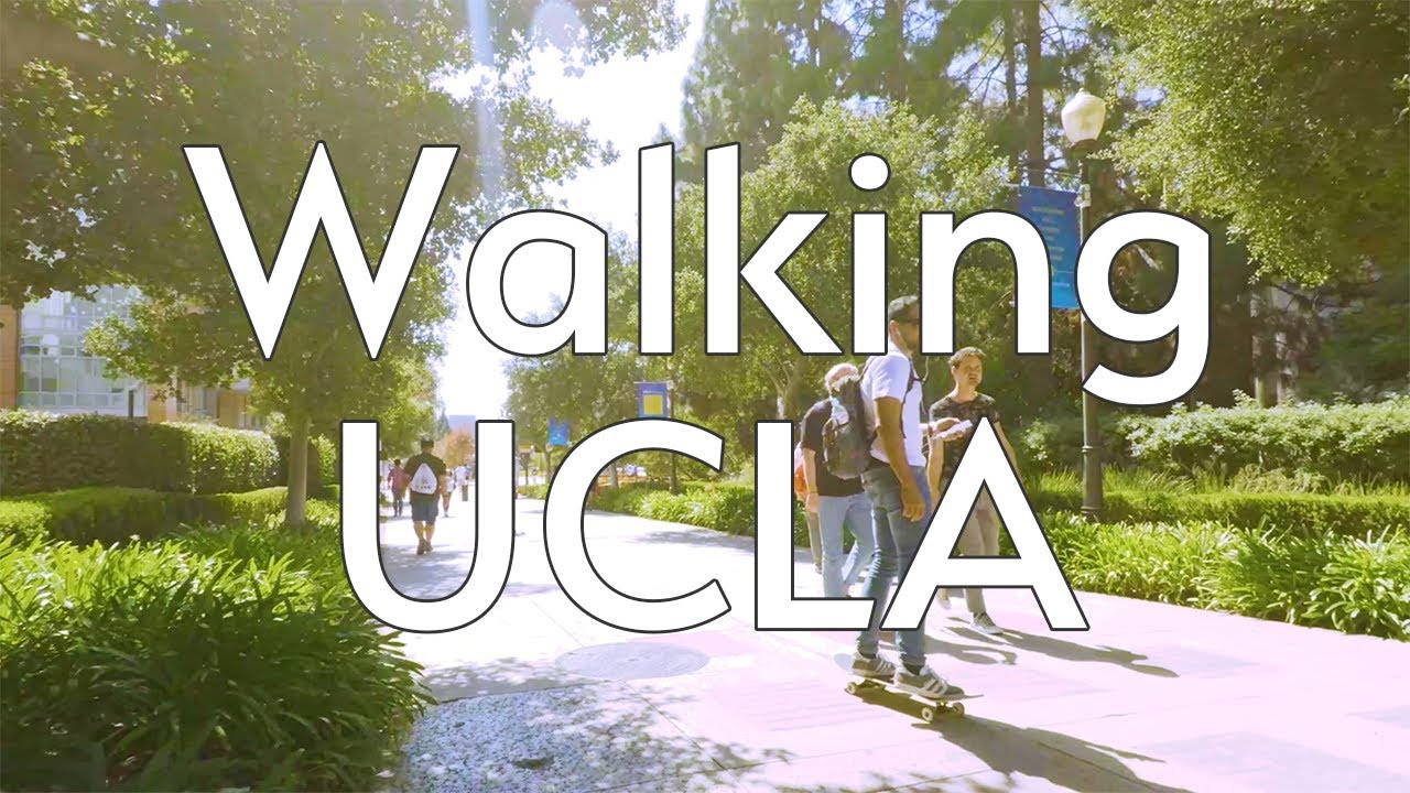 Walking UCLA, Los Angeles, USA - YouTube