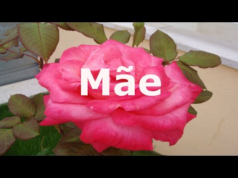 Mãe, Uma Mulher Especial | Mensagens do Coração.