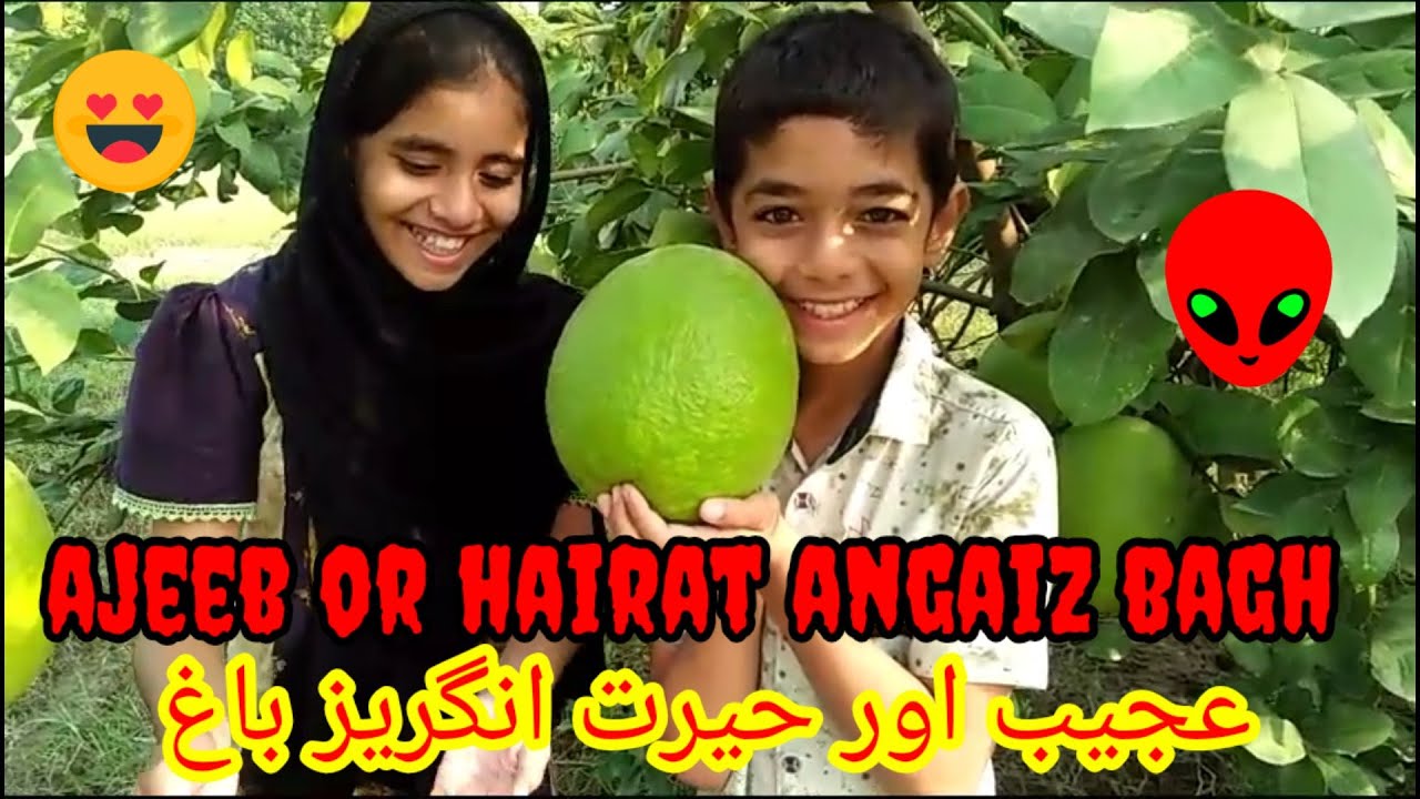 hairat angez bagh|hairat angez video#minifsdvlogs #mini - YouTube