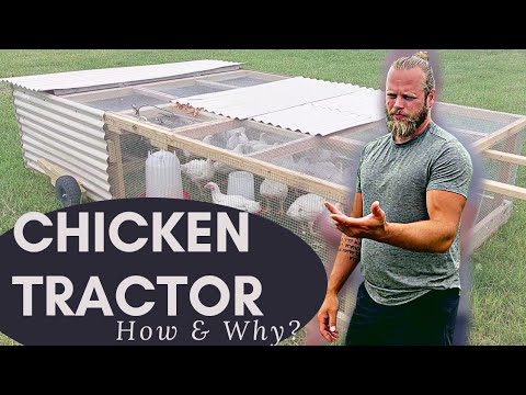 EASY CHICKEN TRACTOR DESIGN & BUILD | Moving meat chickens daily | How ...