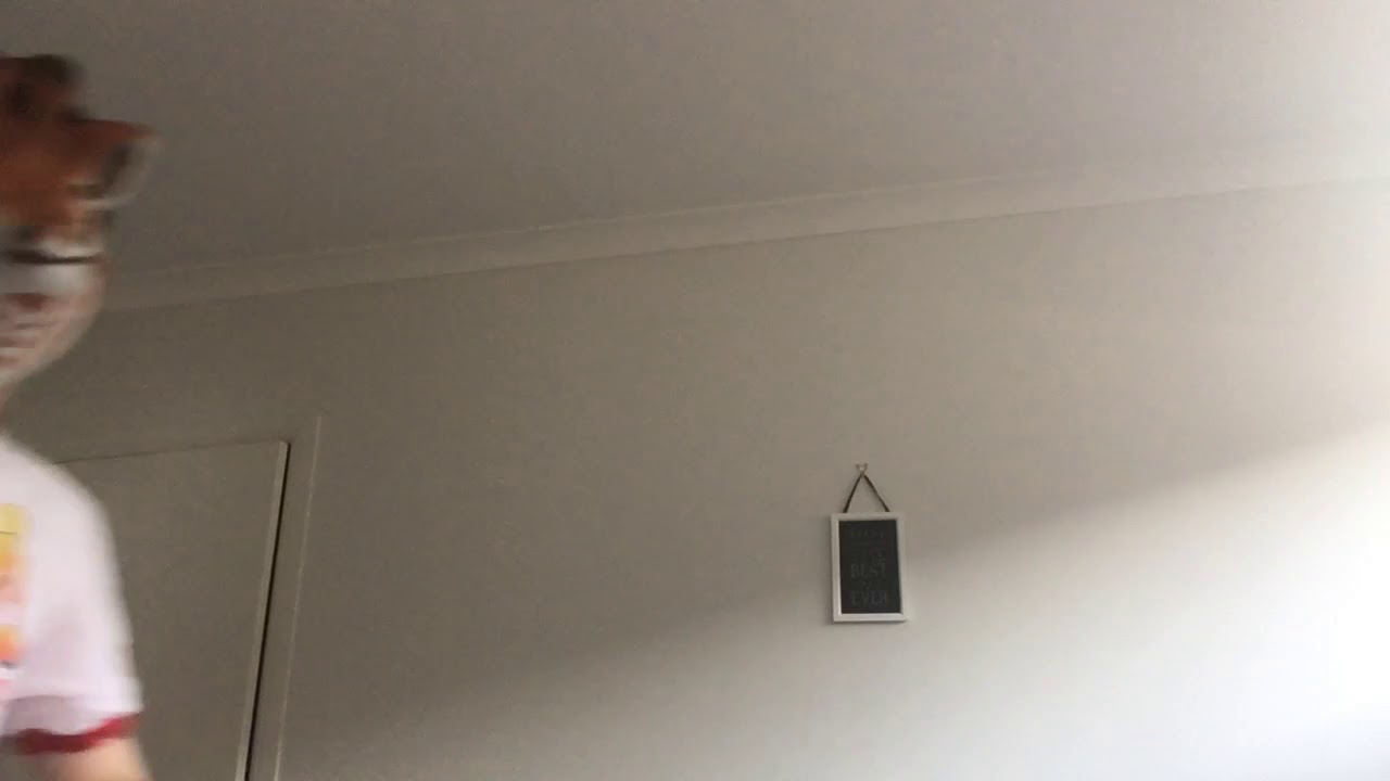 Giraffe trailer - YouTube