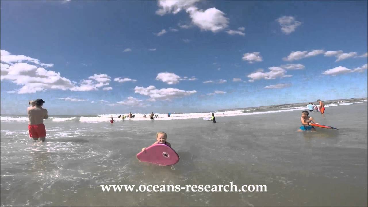 Oceans Research: Electronic shark deterrent testing in South Africa ...