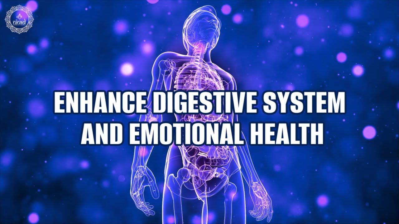 Sound Waves Of Healing | Balance The Gut-Brain Axis | Enhance Digestive ...