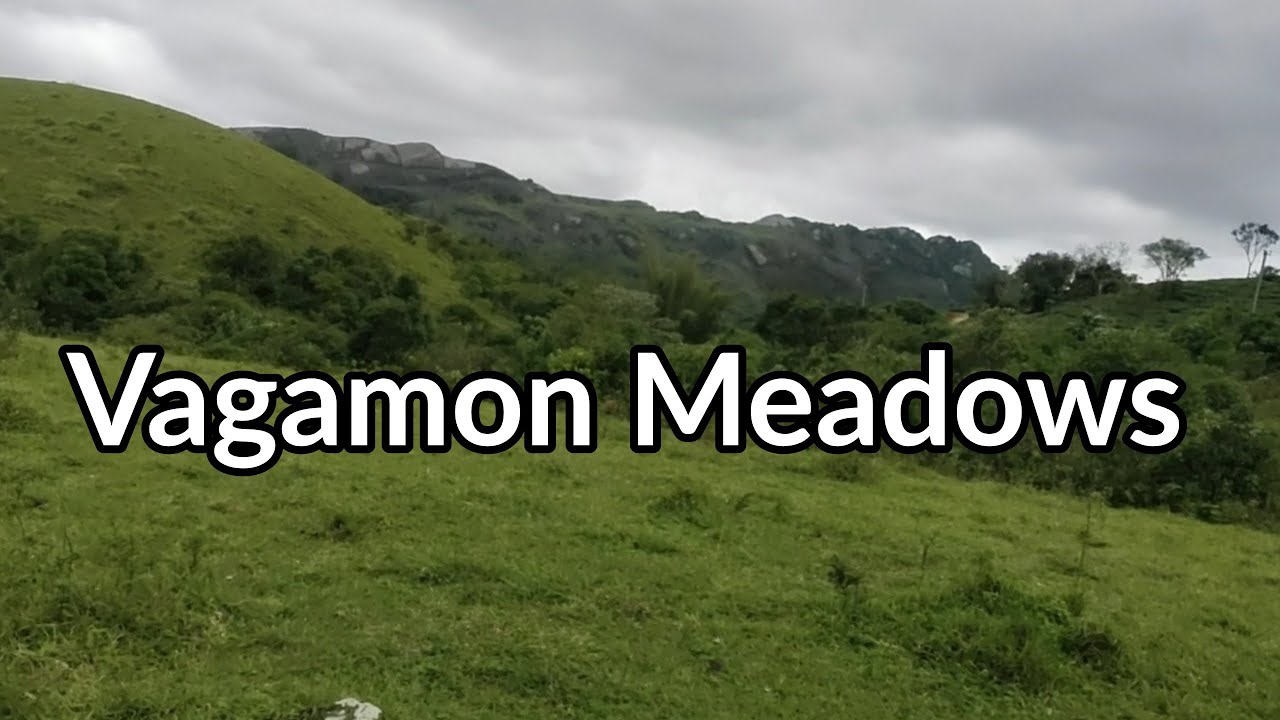 Nature Beauty of Vagamon Meadows Kerala - YouTube