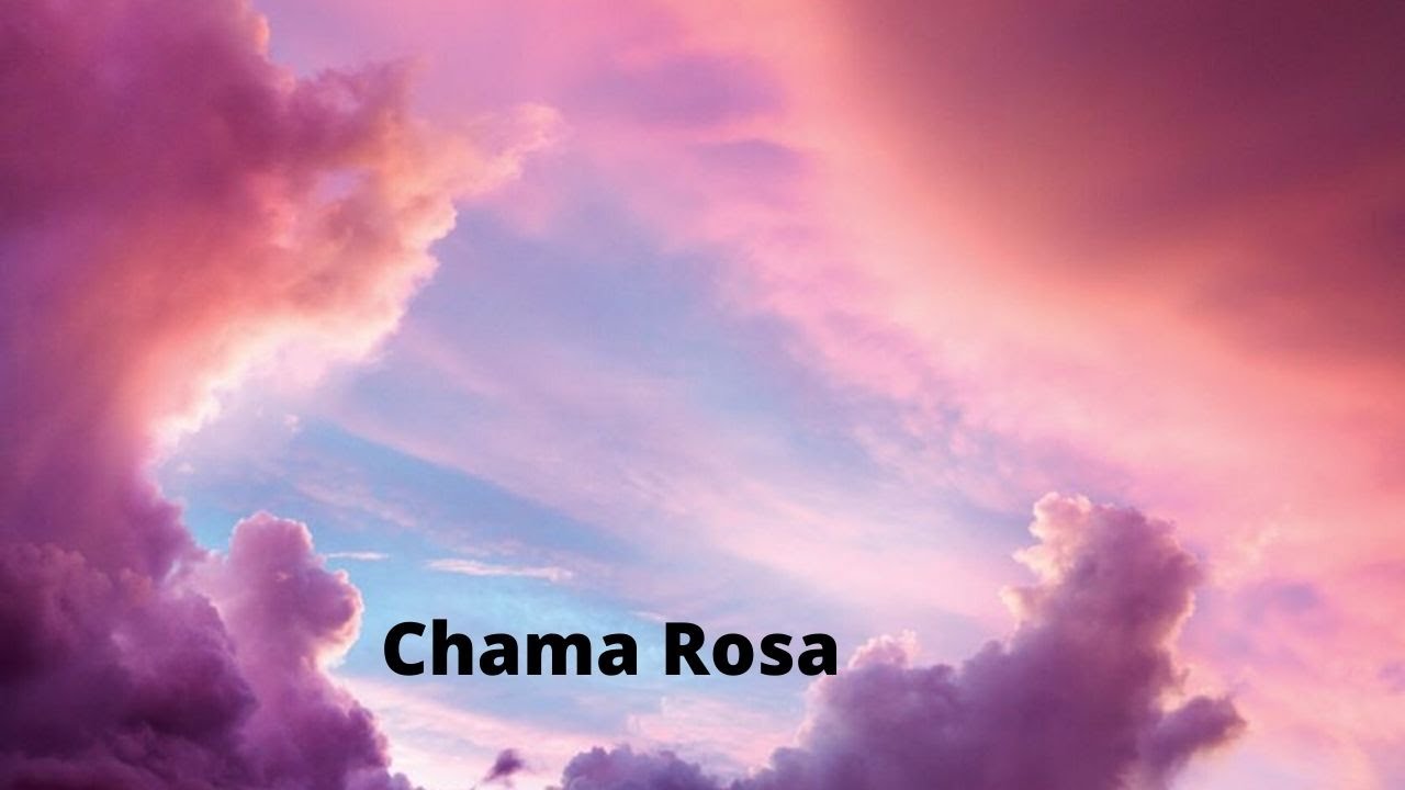 Chama Rosa - YouTube