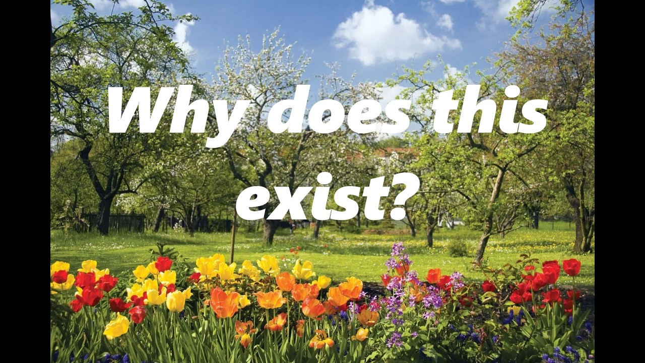 I Hate Spring - YouTube