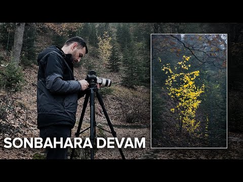 Manzara Fotoğrafçılığı | Gün İçinde Kısa Bir Video