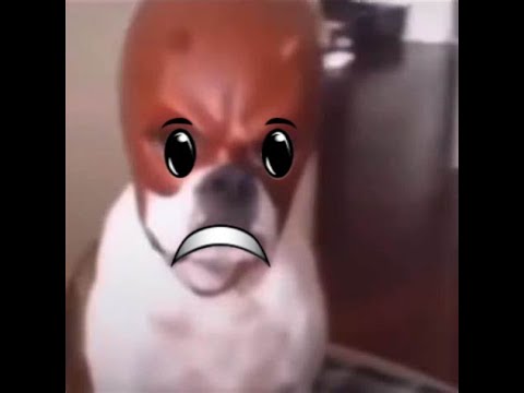 46-49 Smiling Complex Fail. - YouTube