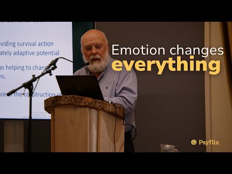 Emotionsfokussierte Therapie (EFT) erklärt | Prof. Dr. Les Greenberg über die Transformation von ...