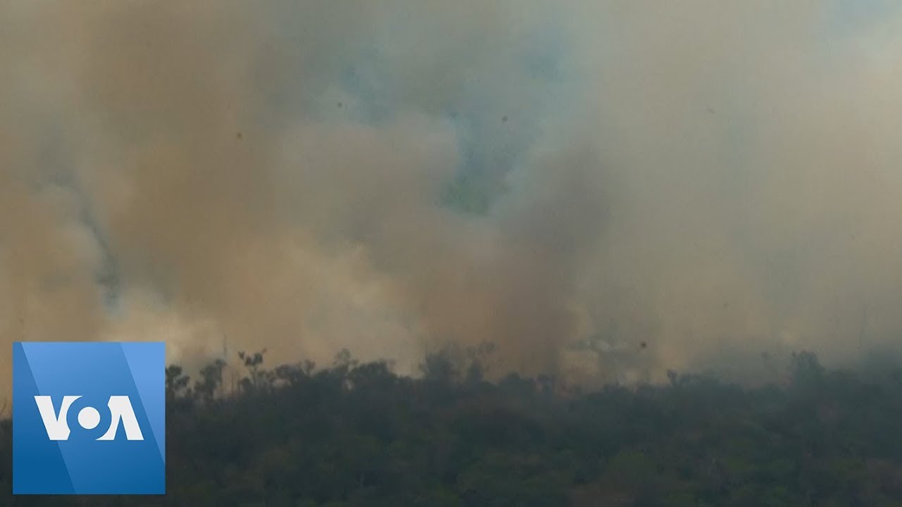 Brazil Wildfire: Fires Continue to Rage in Brazil's Amazon Rainforest ...