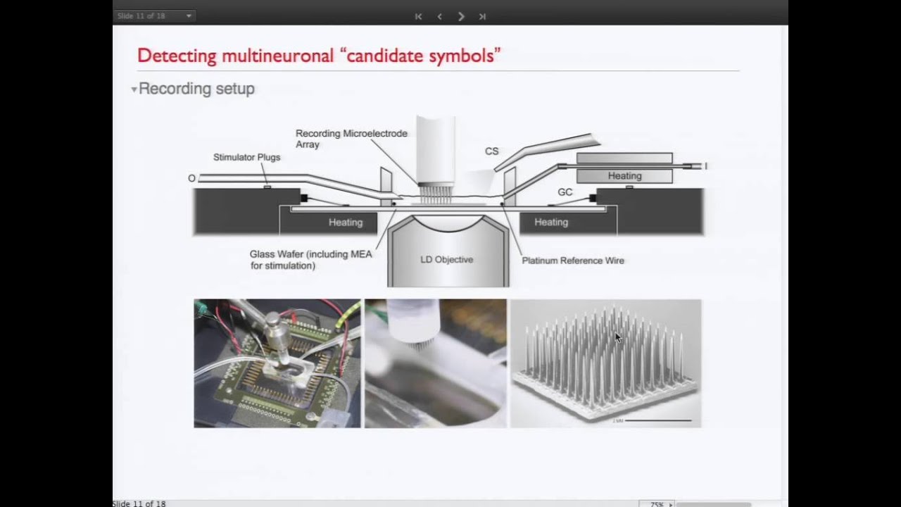 Cracking the Neural Code with Mathematica - YouTube