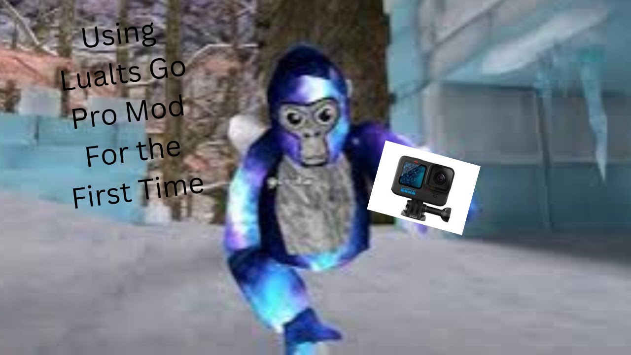 Playing Gorilla Tag GoPro Mod trying it for the first time(View ...