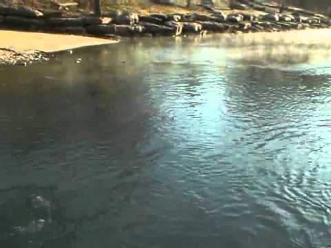 fly fishing Spring River Arkansas - YouTube