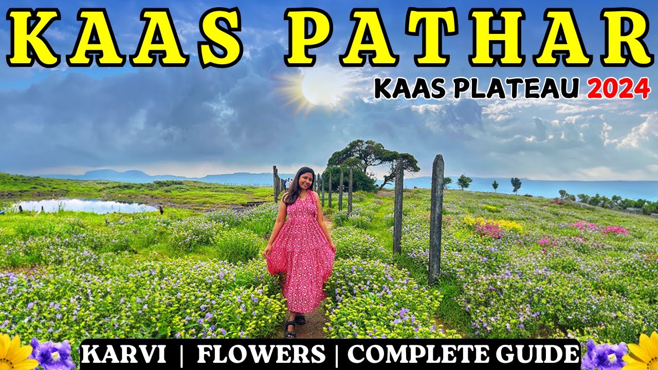 BEST Time to Visit Kaas Pathar 2024 is NOW 🌼 Maharashtra's Valley Of ...