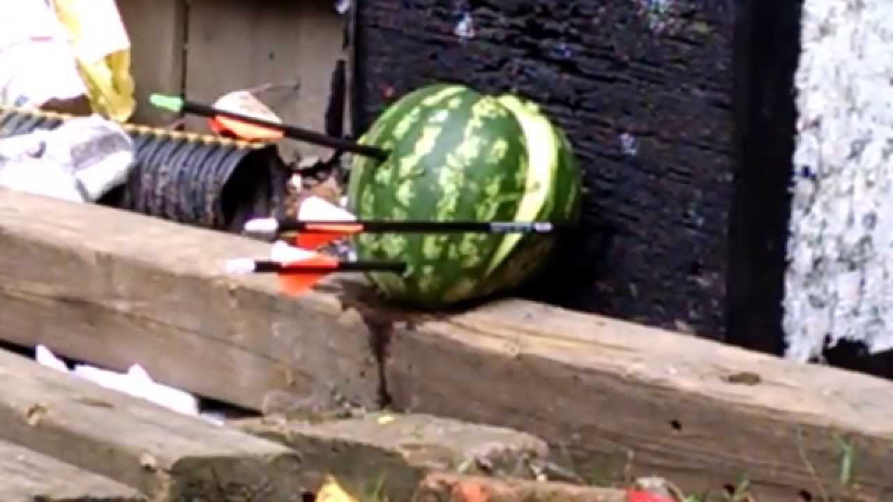 Watermelon Vs blunt arrow head. - YouTube