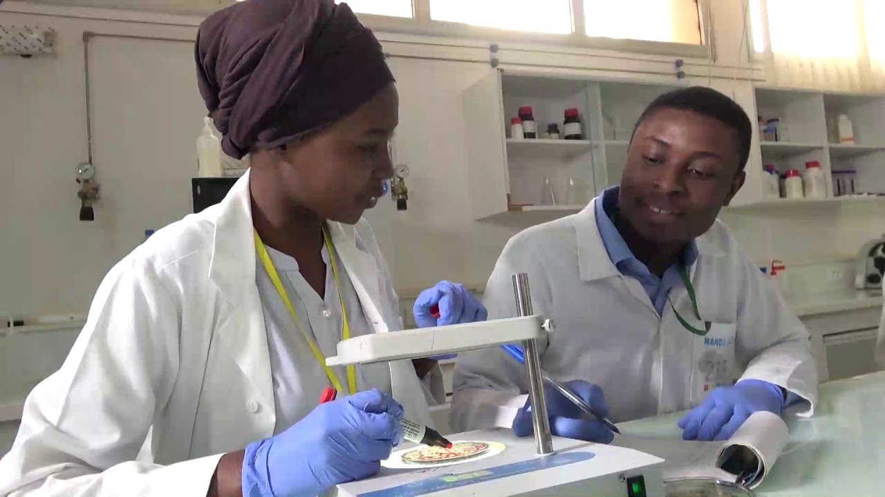 LABO LEHSA - YouTube