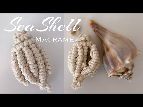 DIY Macrame Seashell | Macrame Shellfish - YouTube