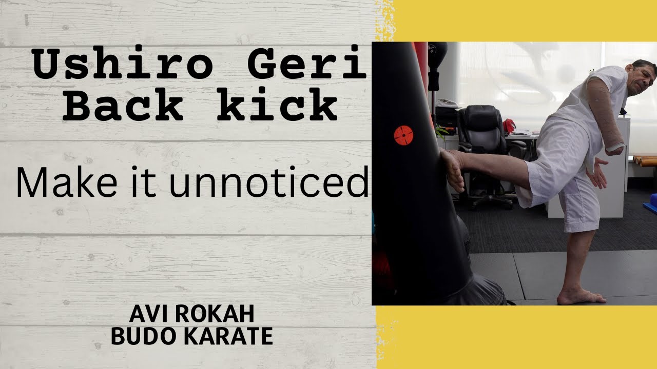 Ushiro Geri - back kick, make it unnoticed - YouTube
