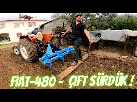 FİAT 480 İLE ÇİFT SÜRDÜK ! - KOYUNLAR İÇİN MISIR EKTİK !