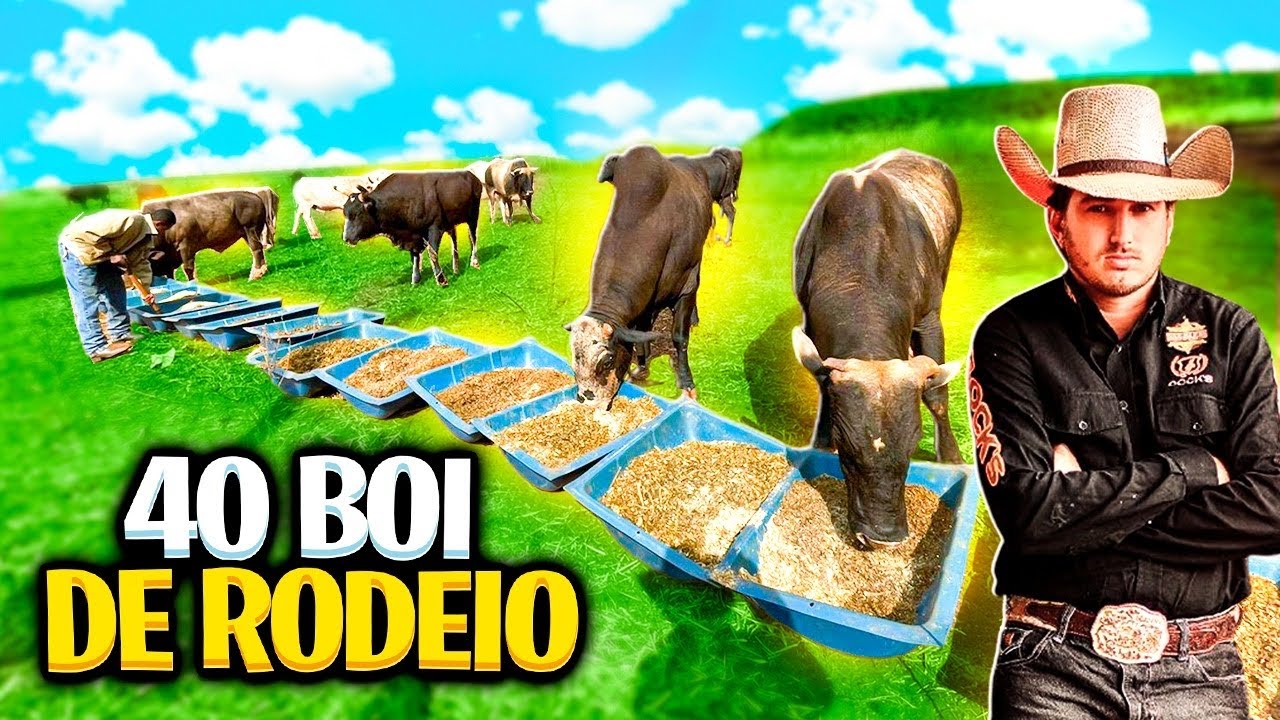 40 BOI DE RODEIO NA MINHA FAZENDA - YouTube