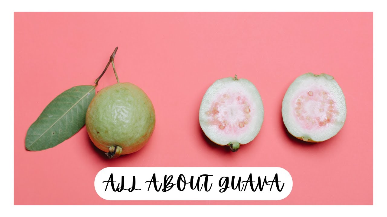 ALL ABOUT GUAVA - YouTube
