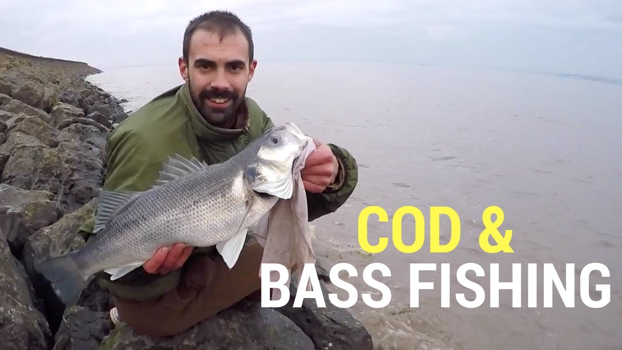 Fishing Brothers: Bass and cod fishing south wales - YouTube
