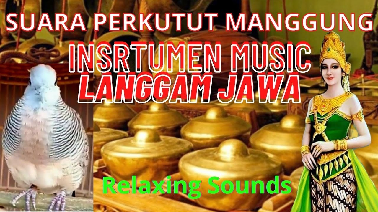 Suara Perkutut Merdu dipadukan Music Langgam Jawa‼️Menentramkan jiwa ...