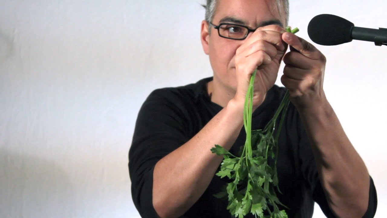 The Idea of the Vegetable Orchestra - YouTube