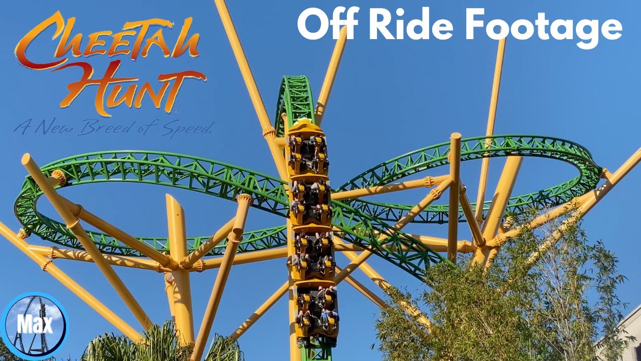 Cheetah Hunt Off Ride Footage (4k) - YouTube