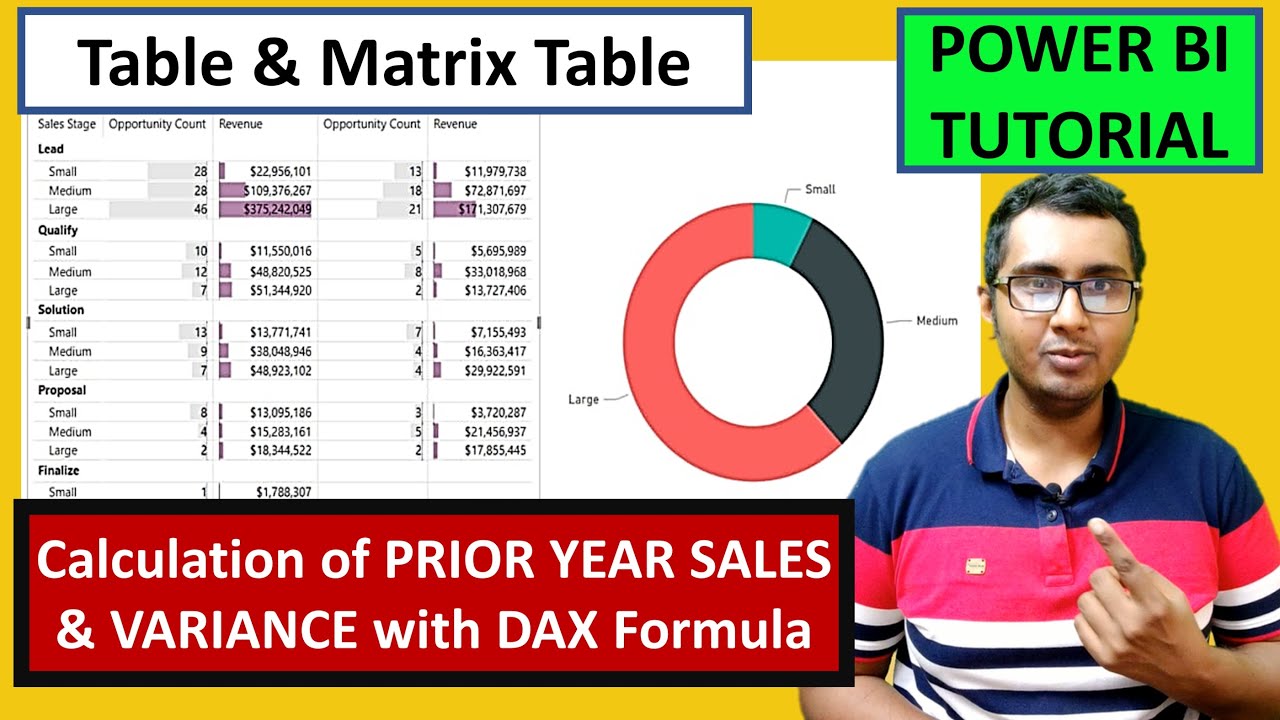 2. Matrix Table | Prior Year Sales Calculation in Power BI | MD ...
