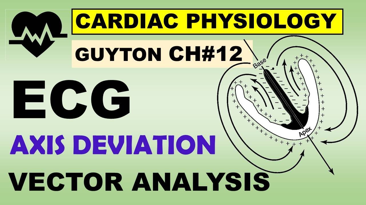 Physiology Guyton Ch#12 | VECTOR Analysis | ECG Interpretation of ...